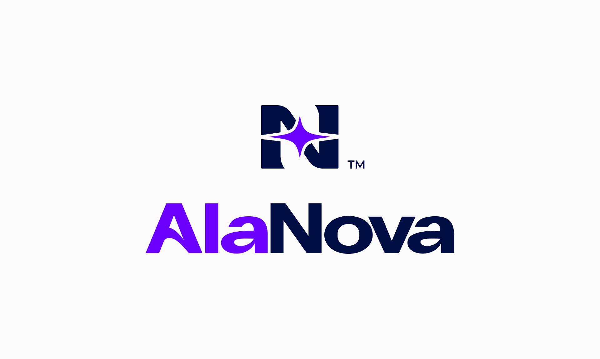 Consultoría Digital Integral para PYMES | AlaNova